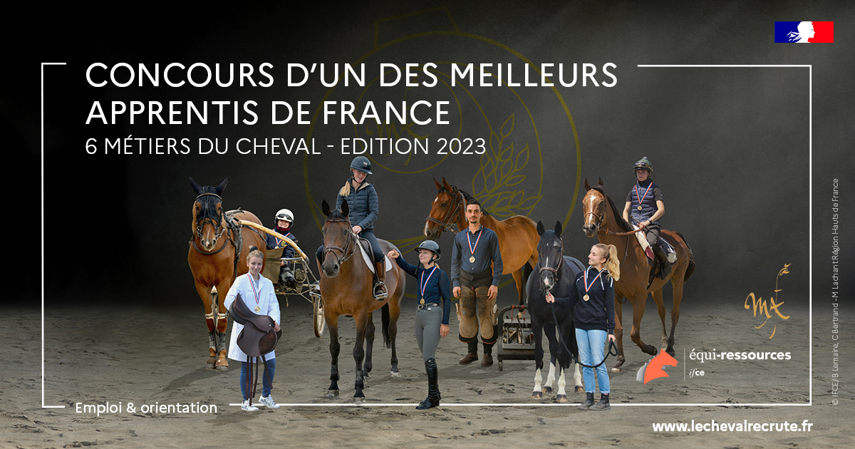 Le concours de l’Un des Meilleurs Apprentis de France revient pour une ...