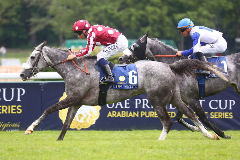 The President of the UAE Cup - Coupe d'Europe des chevaux arabes (Gr1 ...