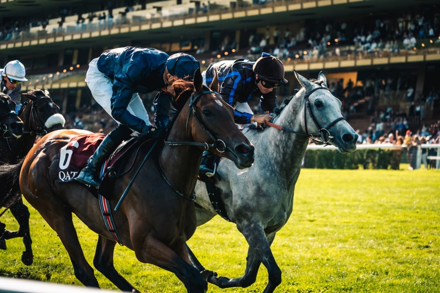 Qatar Arc Trials 2024 : les courses préparatoires au Qatar Prix de l ...