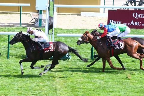 Qatar Foy : Iresine, la plus belle de Marie Velon | France Galop