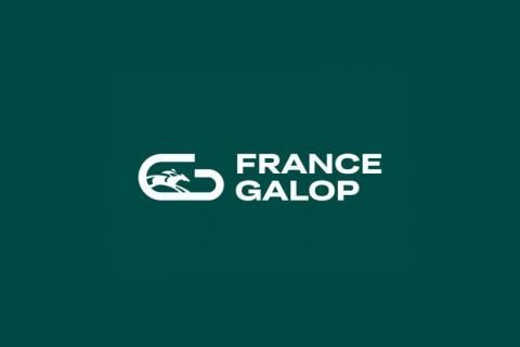 2023 Elections at France Galop: All you need to vote | France Galop